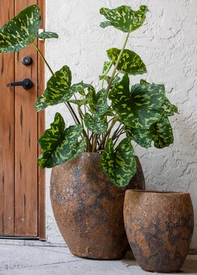 THE POTTERY PATCH - Updated December 2025 - 18 Photos - 412 Tall Pines ...