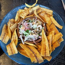 RUMBA - 815 Photos & 570 Reviews - 1112 Pike St, Seattle, Washington ...