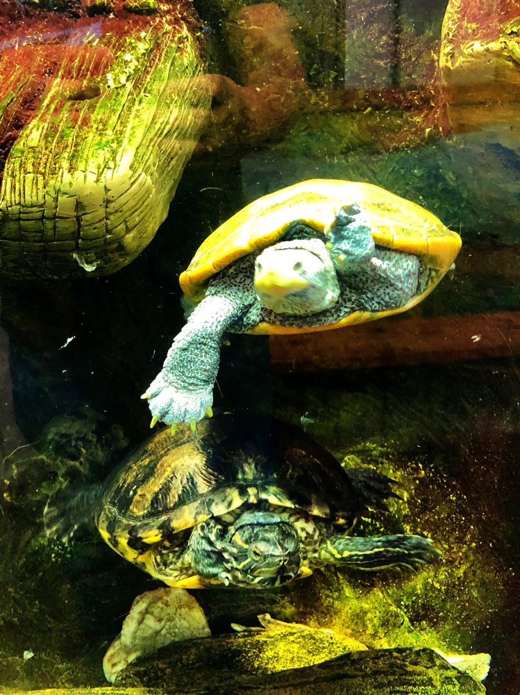 Oregon Ridge Nature Center - 127 Photos & 39 Reviews - Parks - 13555 ...