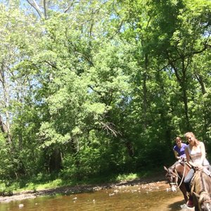 RED BUFFALO RANCH - 64 Photos & 47 Reviews - 1106 Anders Rd ...