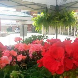 BRETHREN RETIREMENT COMMUNITY - 750 Chestnut St, Greenville, OH - Yelp