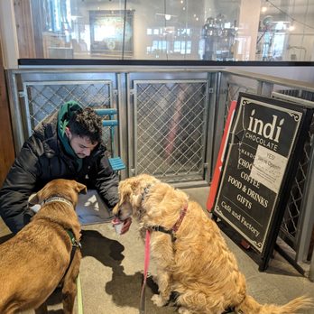 INDI CHOCOLATE - Updated September 2024 - 374 Photos & 233 Reviews ...