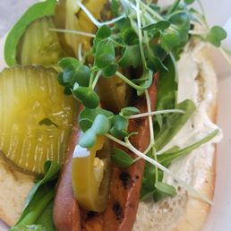 WINEY DOGS - Updated May 2026 - 116 Photos & 43 Reviews - 3 N 6th Ave ...