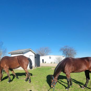 4 HEARTS RANCH - Updated November 2025 - 130 Photos - 16151 US 377 S ...