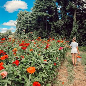 PARLEE FARMS - Updated June 2025 - 296 Photos & 147 Reviews - 95 ...