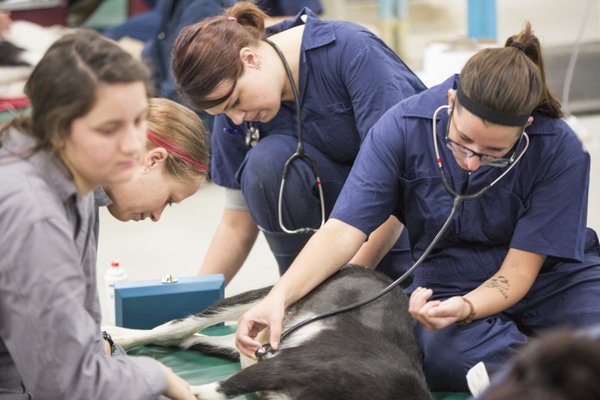 MADISON AREA TECHNICAL COLLEGE - Updated December 2025 - 19 Photos & 14 ...