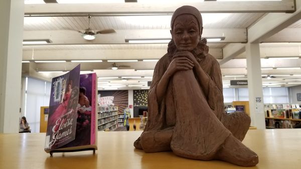 EMILY FOWLER PUBLIC LIBRARY - Updated December 2025 - 14 Photos - 502 ...