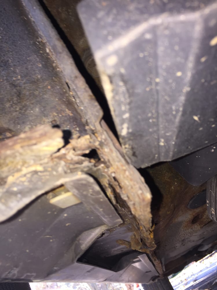 TRAFNY AUTO - Updated June 2025 - 19 Reviews - 173 Farabee Dr ...