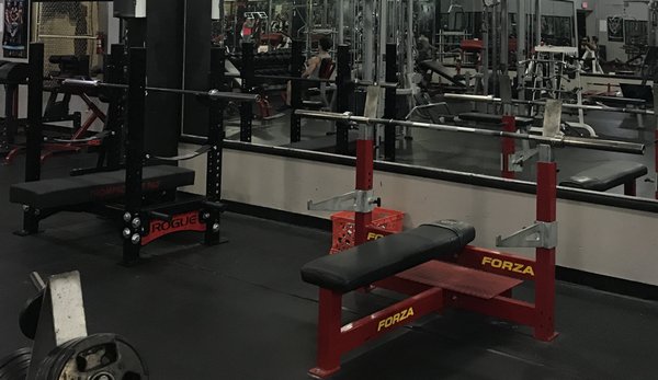 KISSIMMEE MUSCLE - Updated September 2025 - 102 Photos & 46 Reviews ...