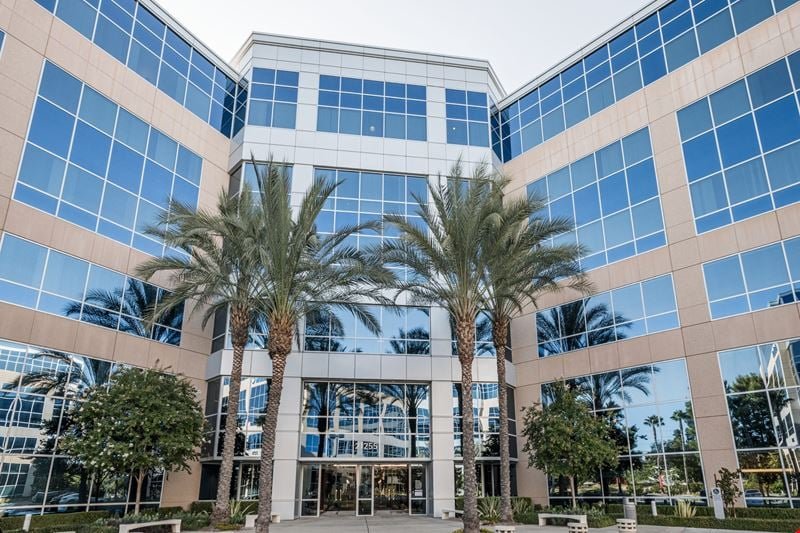 APEX ACCOUNTING SOLUTIONS - Updated May 2025 - Request Consultation ...