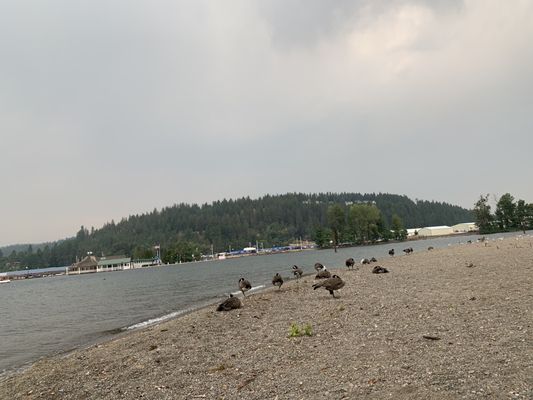 COEUR D’ALENE RV RESORT - Updated December 2025 - 12 Photos & 14 ...