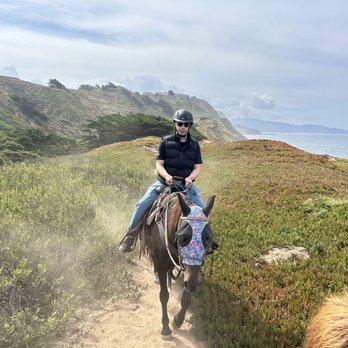 OCEAN VIEW STABLES - Updated June 2025 - 81 Photos & 62 Reviews - 2152 ...