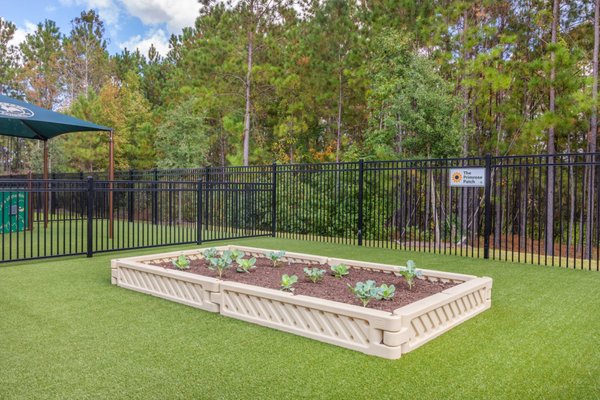 PRIMROSE SCHOOL OF GODLEY STATION - Updated October 2025 - 17 Photos ...