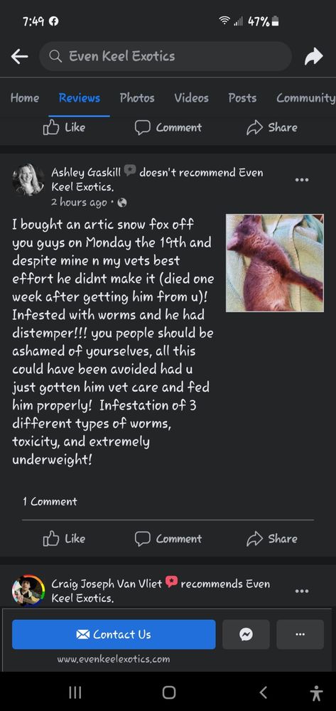 EVEN KEEL EXOTICS - Updated May 2025 - 2516 Rauch Rd, Temperance ...