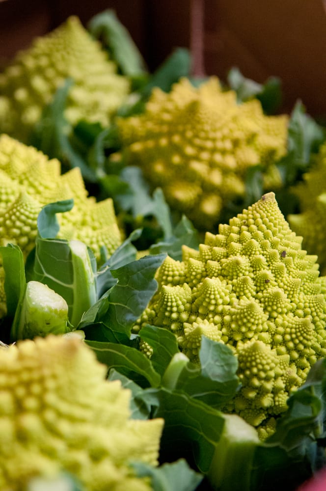 VERITABLE VEGETABLE - Updated December 2025 - 16 Photos - 1100 Cesar ...