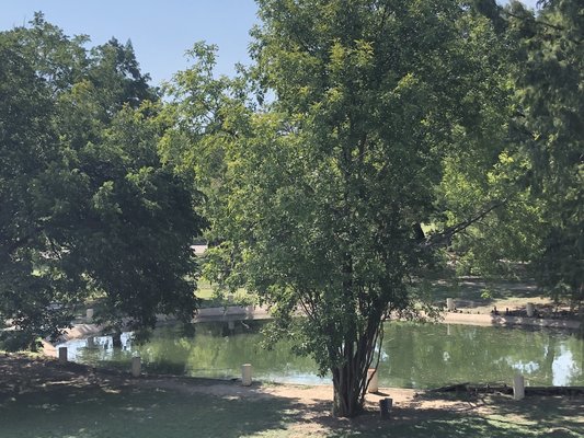 TRINITY PARK DUCK POND - Updated June 2026 - 51 Photos & 15 Reviews ...