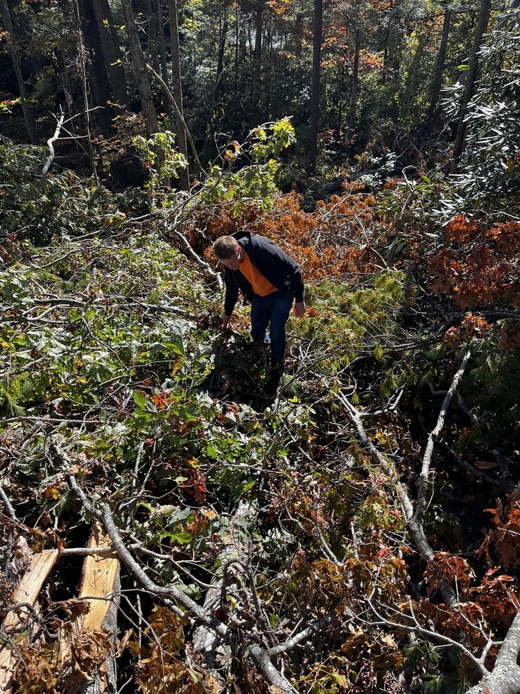 WORK HARD PLAY HARD TREE AND LANDSCAPING SERVICES - Updated July 2025 ...