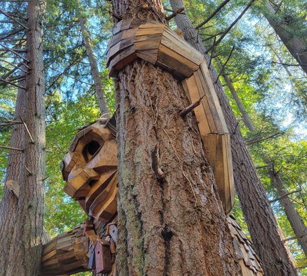 JAKOB TWO TREES - Updated January 2025 - 54 Photos & 10 Reviews - 301 ...