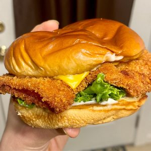 FLAME BURGER PLUS - Updated August 2024 - 96 Photos & 161 Reviews ...