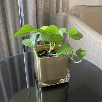 WIND CREEK BETHLEHEM - Updated January 2025 - 469 Photos & 600 Reviews ...