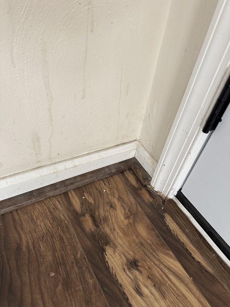 VB CARPET CLEANERS - Updated August 2025 - 56 Photos & 15 Reviews ...