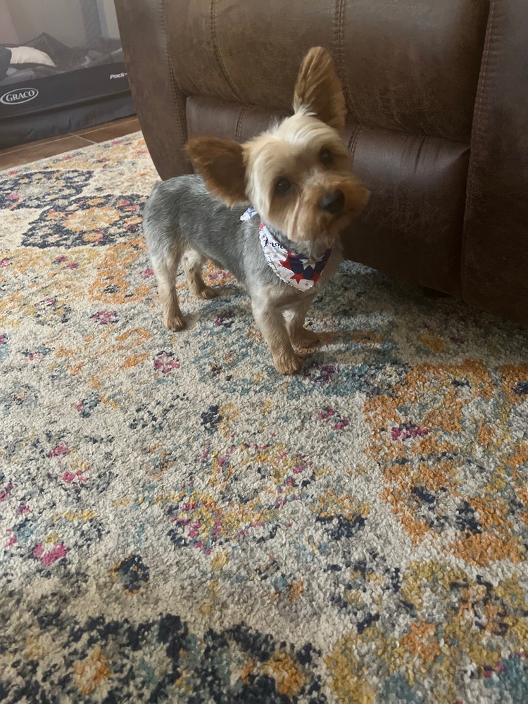 MESILLA VALLEY PET RESORT - Updated September 2024 - 18 Photos - 2500 W ...