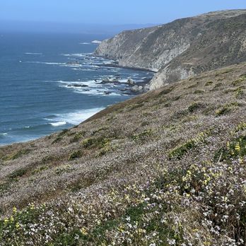 TOMALES POINT TRAIL - TULE ELK PRESERVE - Updated December 2025 - 948 ...