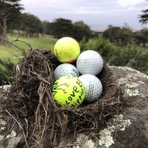 SHARP PARK GOLF COURSE - Updated June 2025 - 153 Photos & 183 Reviews ...