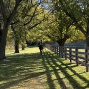 HAAS PARK - Updated January 2025 - 33 Photos & 11 Reviews - 2402 N ...