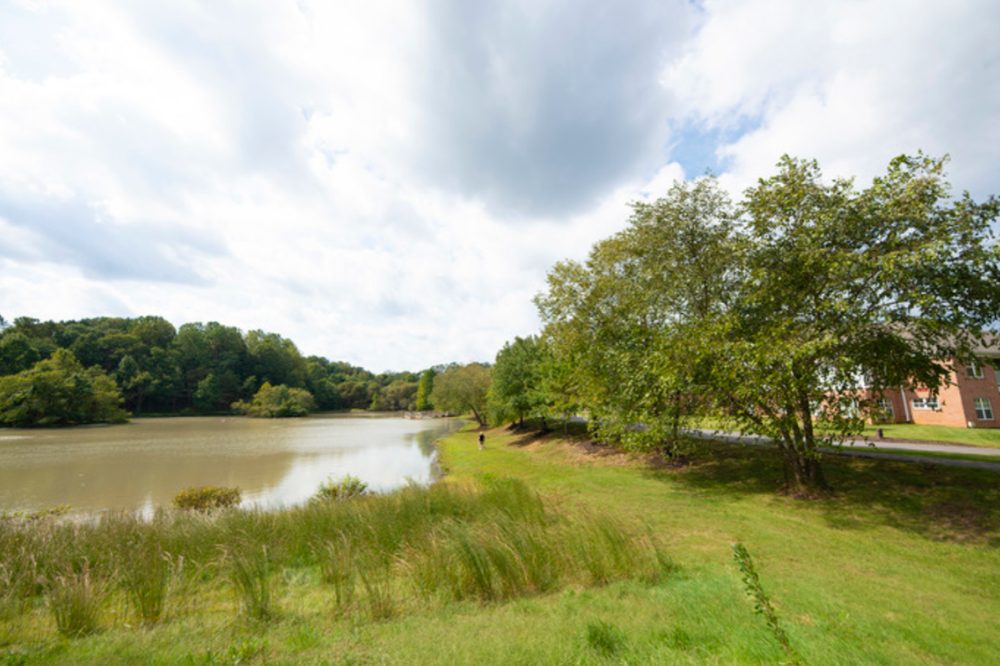 COLLINGTON, A KENDAL AFFILIATE - 10450 Lottsford Rd, Mitchellville, MD ...