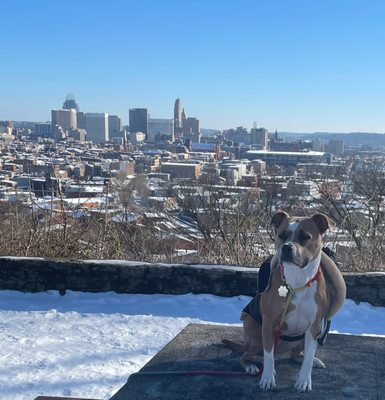 FAIRVIEW PARK - Updated December 2025 - 18 Photos - 501 W McMillan St ...