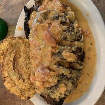 SOL FOOD - Updated November 2024 - 4165 Photos & 5731 Reviews - 901 ...