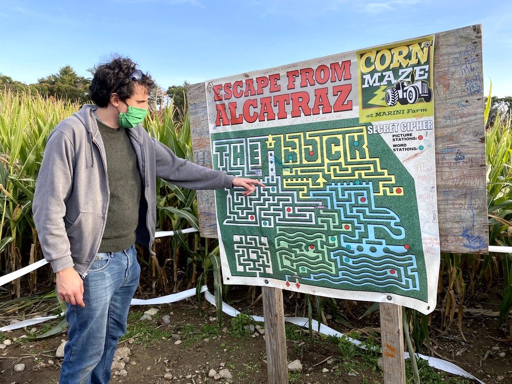MARINI FARM CORN MAZE - Updated October 2024 - 17 Photos & 32 Reviews ...