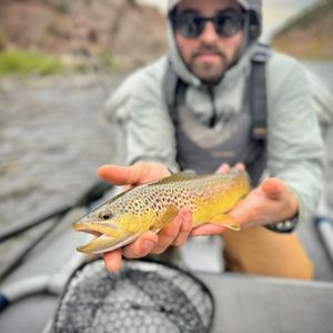 SALIDA GUNSHOP - Updated August 2025 - 12 Photos & 12 Reviews - 7345 W ...