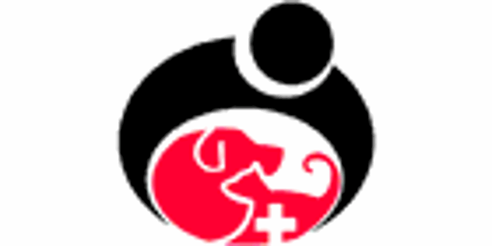 ALCONA ANIMAL HOSPITAL - Updated December 2024 - 1231 Innisfil Beach ...