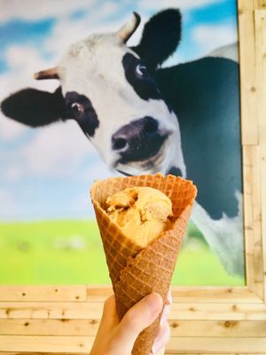 THE SCREAMERY - 114 Photos & 148 Reviews - 140 N Arizona Ave, Chandler ...