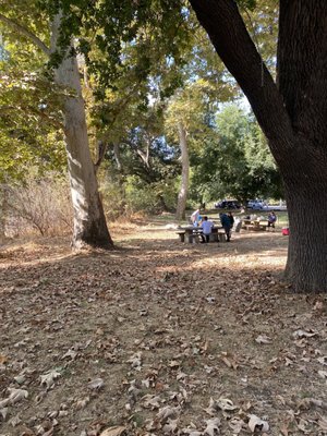 MCCONNELL STATE RECREATION AREA - Updated September 2025 - 34 Photos ...