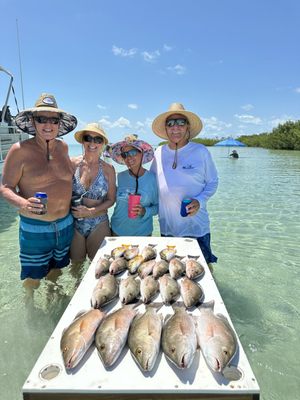 OUTBACK WITH JACK - Updated October 2025 - 18 Photos - Key West ...