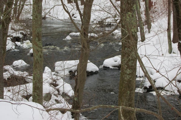 FORGE POND CONSERVATION AREA - Updated December 2025 - 17 Photos ...