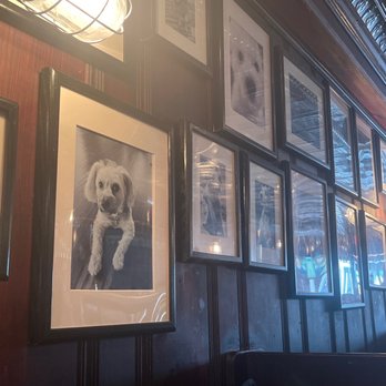 GOOD DOG BAR - 745 Photos & 1403 Reviews - 224 S 15th St, Philadelphia ...