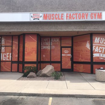 MUSCLE FACTORY GYM - 18 Photos & 13 Reviews - 1301 E University Dr ...