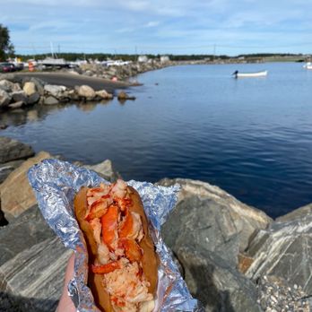 RYE HARBOR LOBSTER POUND - TEMP. CLOSED - 186 Photos & 131 Reviews ...
