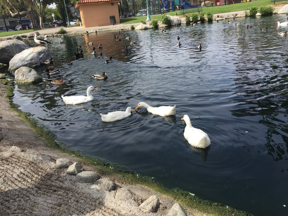 SPANE PARK - 30 Photos - Parks - 14400 Gundry Ave, Paramount, CA ...