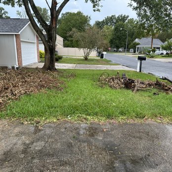 SANTANA TREE SERVICE - Updated September 2025 - 15 Photos - Baton Rouge ...