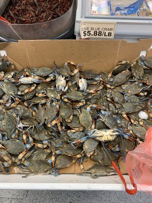 88 RANCH MARKETPLACE - 254 Photos & 215 Reviews - Grocery - 27473 Ynez ...