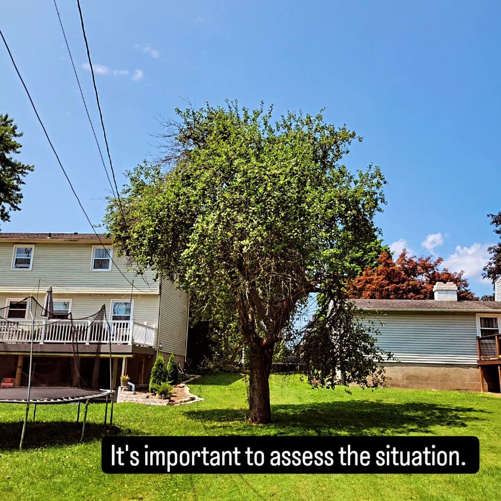 JOSHUA’S TREE WOODWORKING - Updated January 2026 - 49 Photos - 50 ...