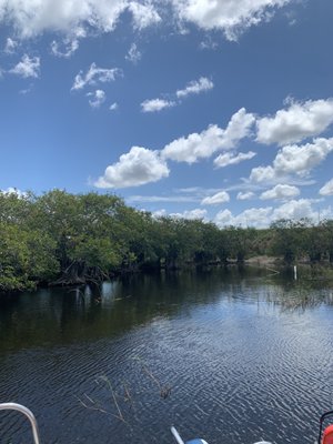 EVERGLADES RIVER OF GRASS ADVENTURES - 274 Photos & 176 Reviews - 17696 ...