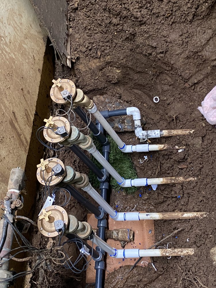 ANGEL TREE SERVICE - Updated November 2024 - 10 Photos - 9844 Noble Ave ...