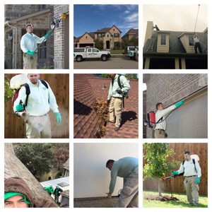 ALL-SAFE PEST & TERMITE - Updated December 2025 - 77 Photos & 96 ...