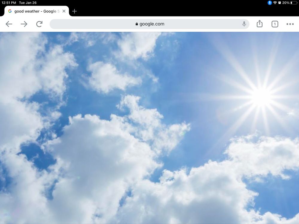 THE PAPER STORE - Updated October 2025 - 11 Hannaford Dr, Scarborough ...